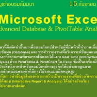 Microsoft Excel : Advanced Database & PivotTable Analysis | seminardd.com